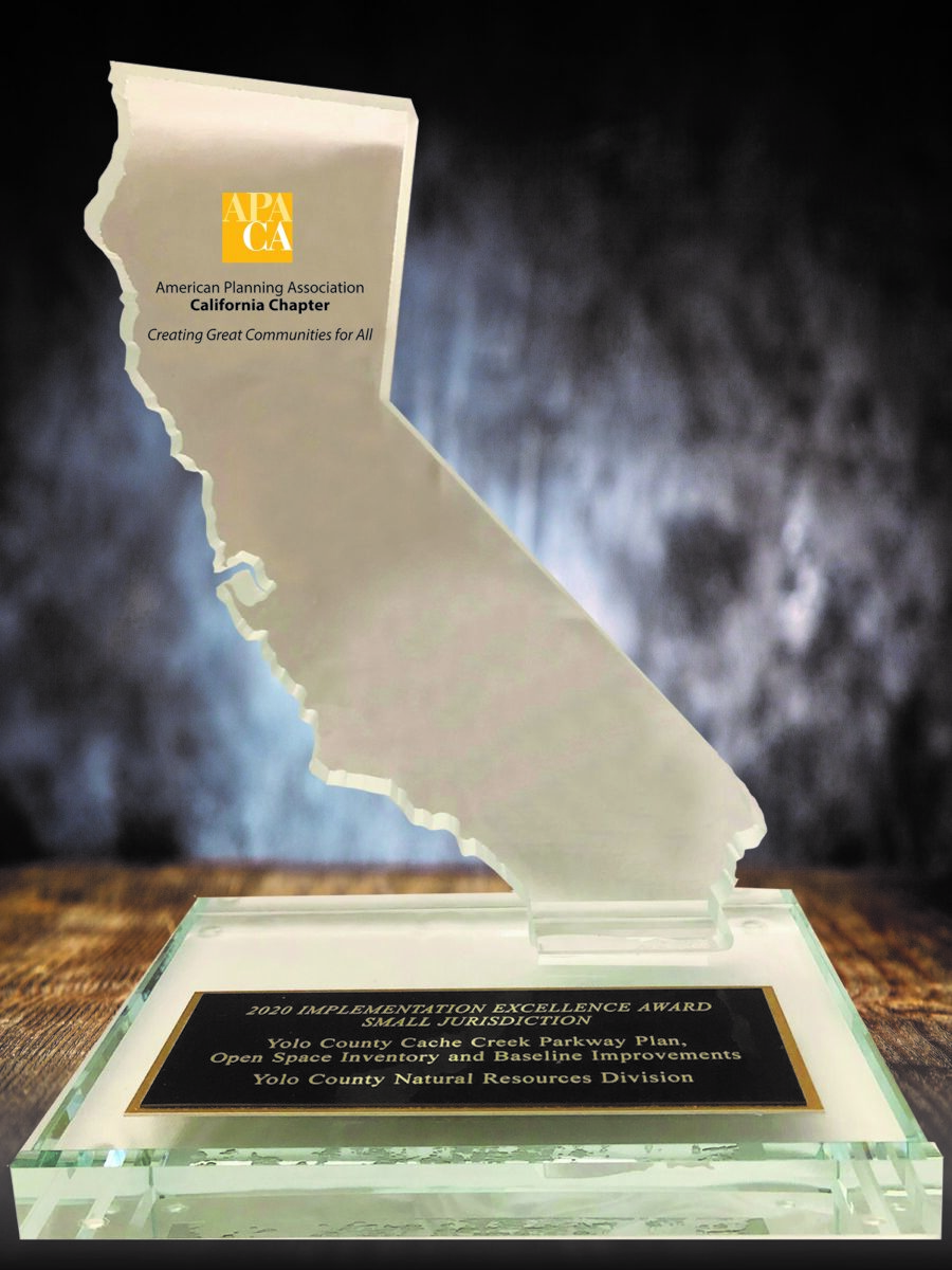2023 APA California - Northern Section awards winners - Northern ...